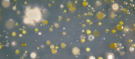 MicroMundo@UCM: Carrera Popular "Corre Sin Resistencias" Proyecto Finalizado - INICIO